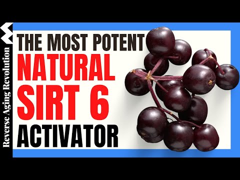 THE MOST POTENT NATURAL SIRT6 Activator ~ 55-FOLD Increase ~ | Reverse Aging Revolution