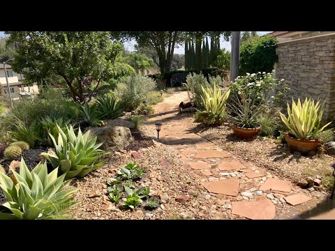 In the California Garden, Is It Fall, or the Fifth Season?--SoCalNPG--Ep.32