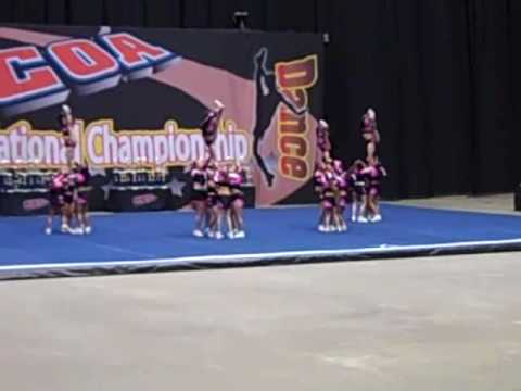 cougars c.o.a. cheer comp.