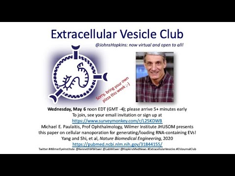 Michael Paulaitis presents on cellular nanoporation for generation and mRNA loading of EVs
