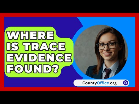 Where Is Trace Evidence Found? - CountyOffice.org