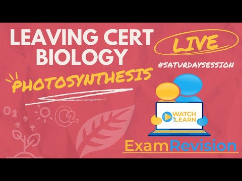 Leaving Cert Biology - Photosynthesis
