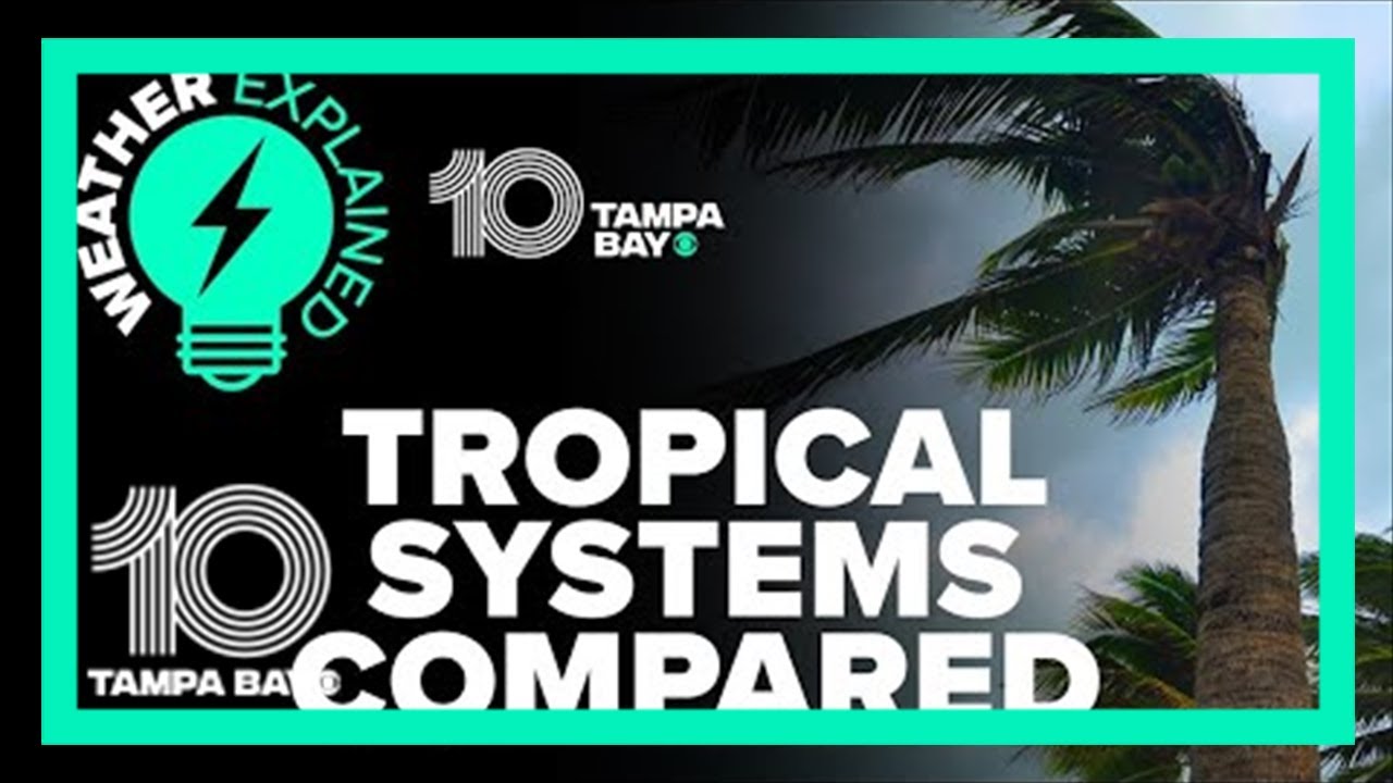 Hurricane vs. Tropical Storm: What's the difference? | Weather Explainer