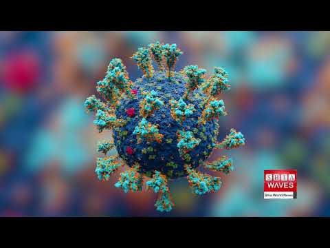 Freshly discovered immune cells are accountable for persistent allergies