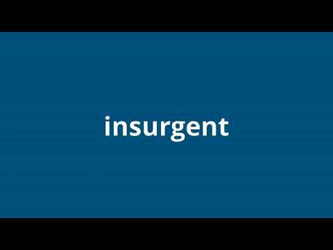 what is the meaning of insurgent.