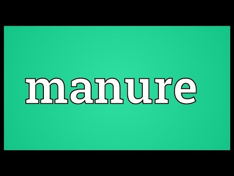 Manure Meaning