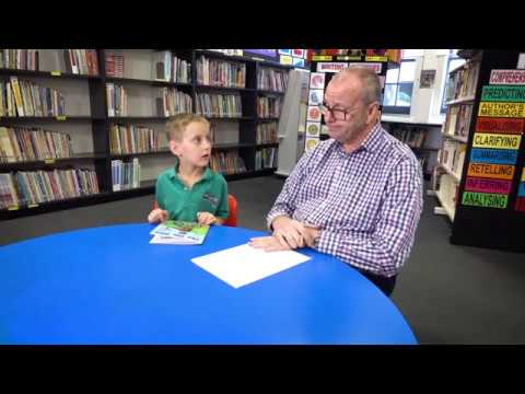 PM Benchmark Reading Assessment Resource
