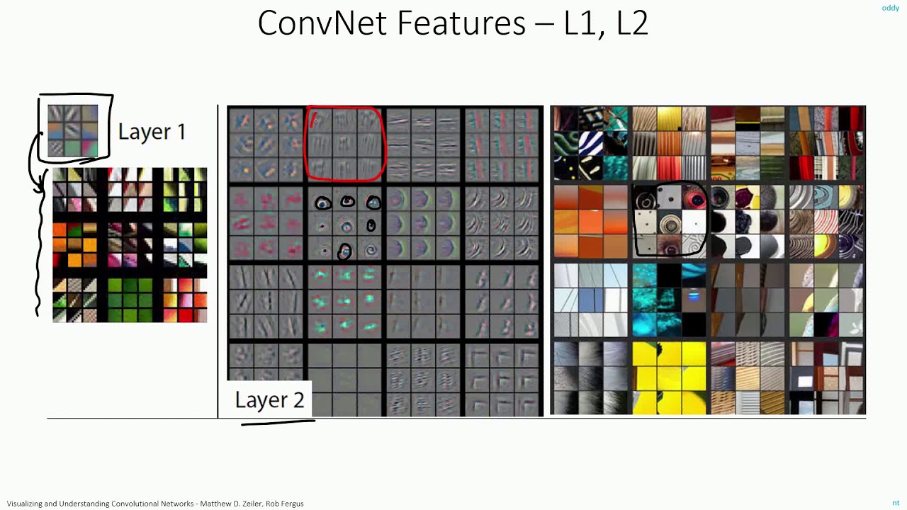 C 4.14 | Visualizing ConvNets | CNN | Object Detection | Machine Learning | EvODN