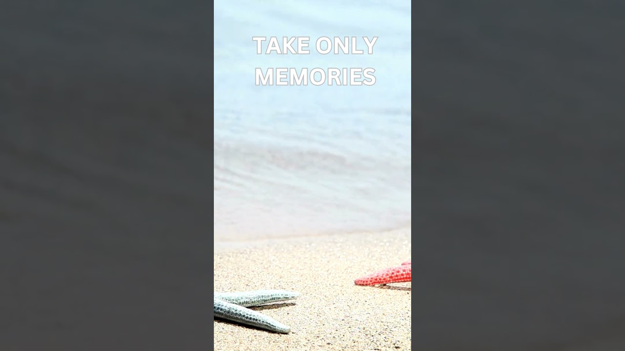 Best Travel Motivation Quote? - travel quotes about adventure | best travel and adventure quotes