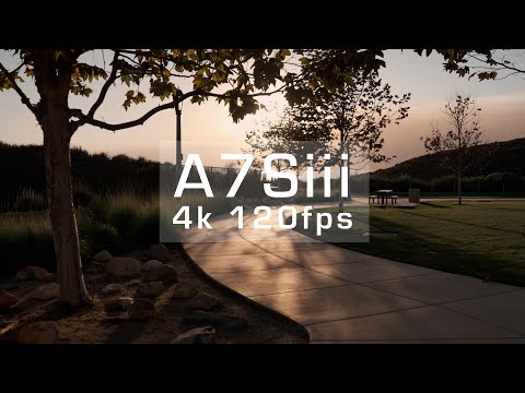 Another A7siii 4K 120FPS Test Video
