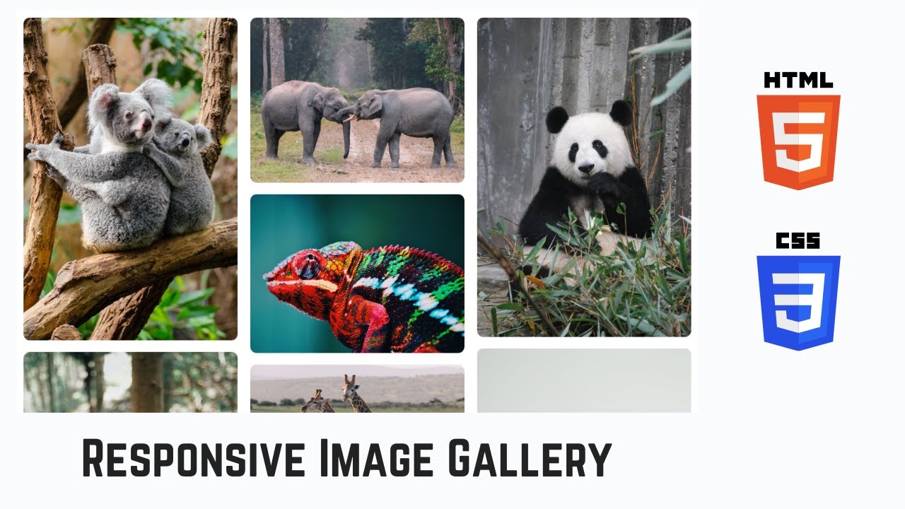 Learn to Create Responsive Image Gallery in 5 Mins using HTML and CSS | Tutorial