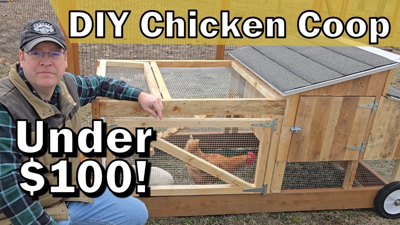 DIY Chicken Tractor for Under $100!
