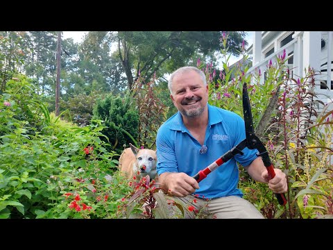 Taming the Wild Garden