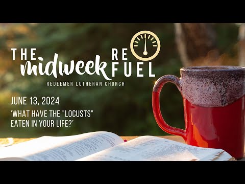 What have the "locusts" eaten in your life? | Joel 2:25