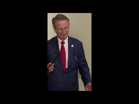 Tennessee U.S. Rep. says Vice President Kamala Harris is a DEI hire #shorts