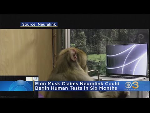 Elon Musk says Neuralink brain implant could begin human testing