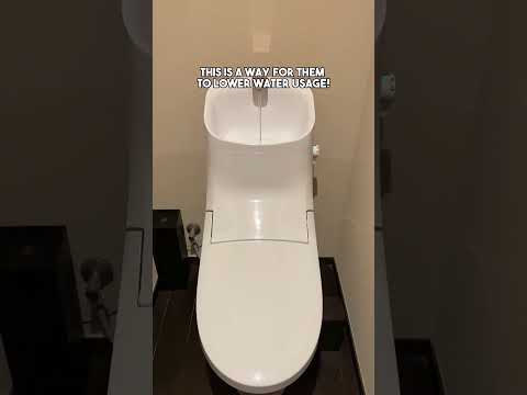 Japanese Toilet and Water Usage Efficiency!