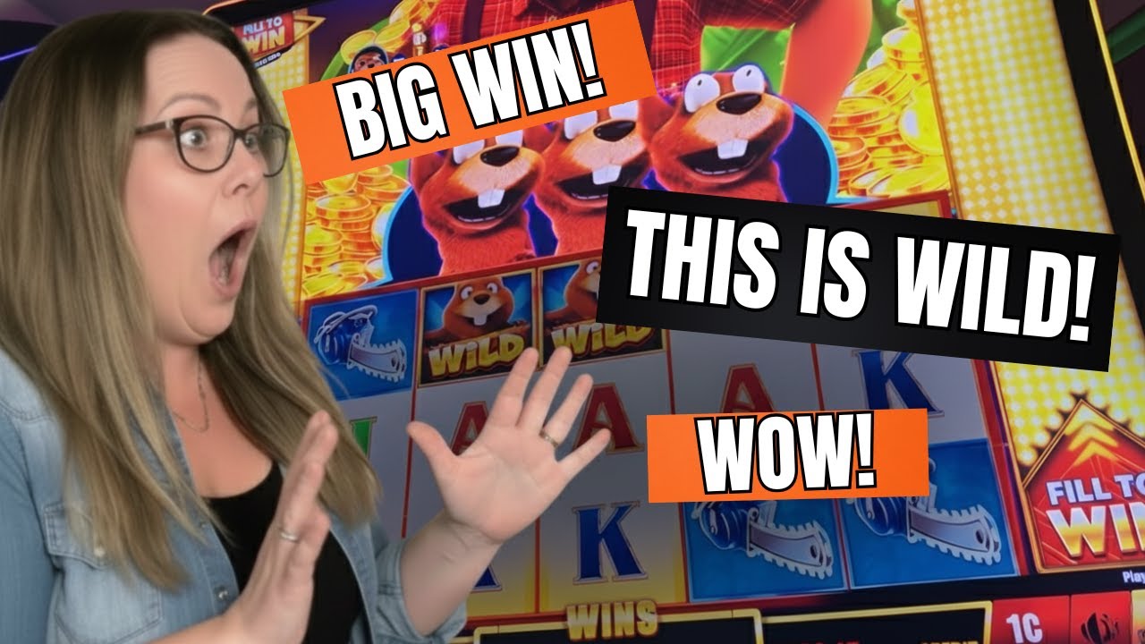 JUMBO Bonus HIT on the NEW Timber Jack Going Wilder Slot! You Won't Believe This Win!