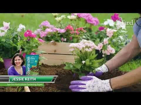 Fafard® Premium Natural & Organic Compost