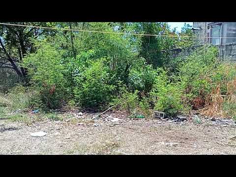 Terreno en VENTA en Norte de Mérida 540m2 superficie $2.5 mdp Chuburna de Hidalgo.