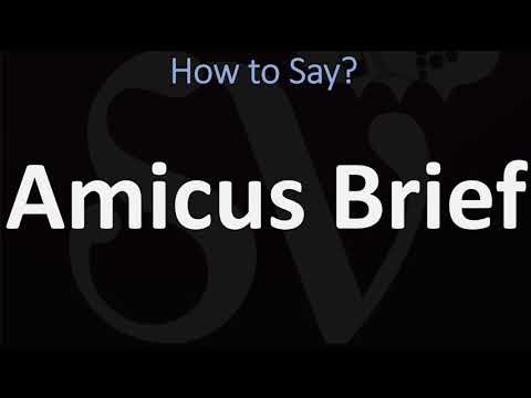 How to Pronounce Amicus Brief? (CORRECTLY)