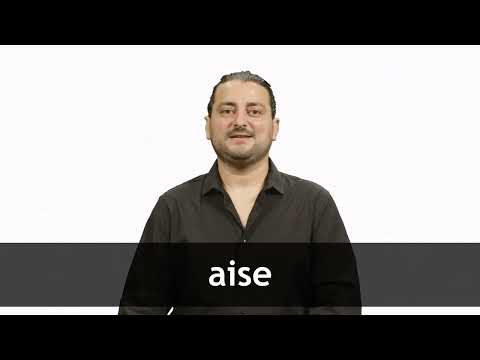 English Translation of “AISE” | Collins French-English Dictionary
