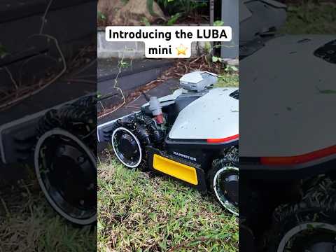 Is LUBA mini The BEST robot lawn mower on the market?? #electricmowers #robotmower #luba #lubamini