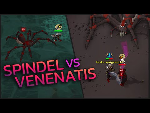 8 Hours Of Spindel VS 8 Hours Of Venenatis