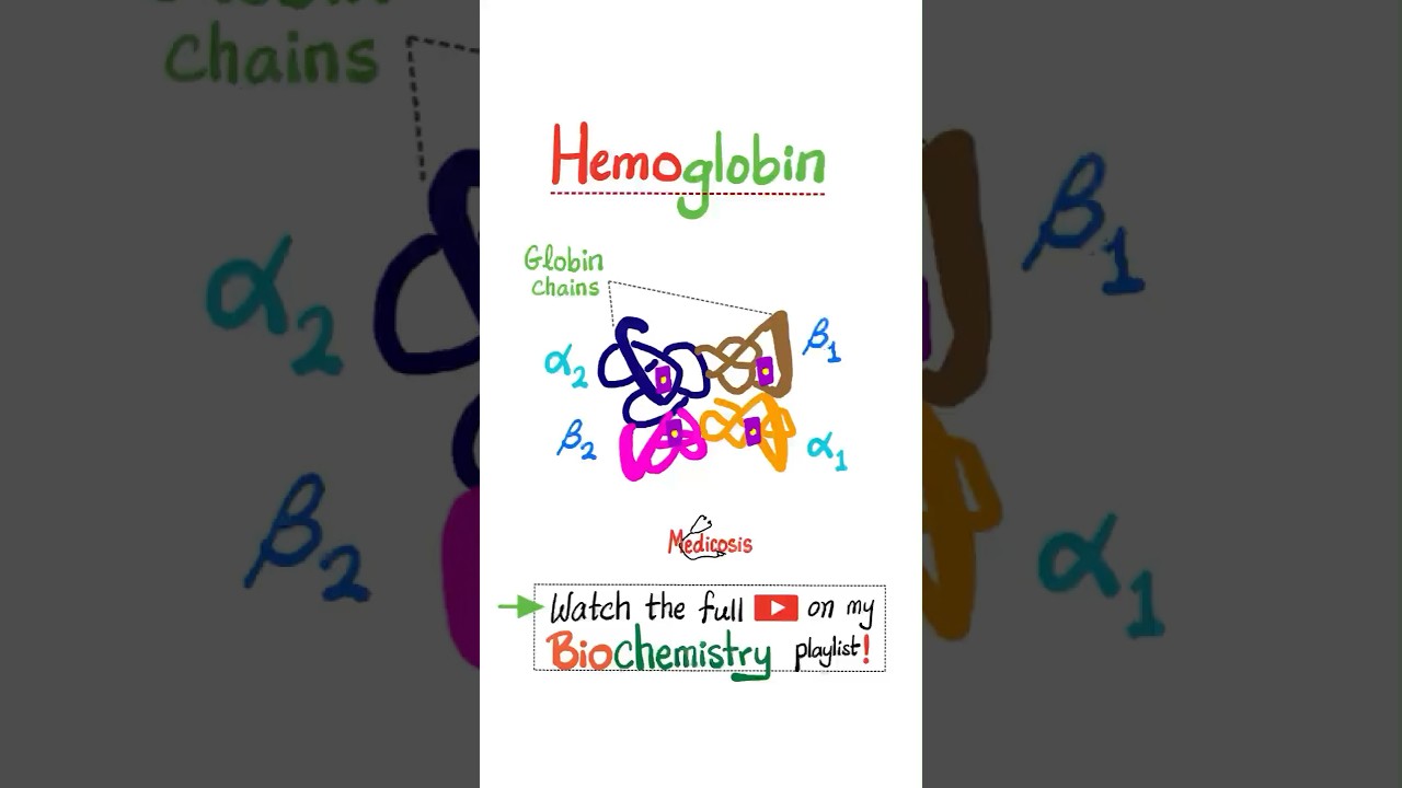 Hemoglobin Structure - Red Blood Cells (RBCs), Hematology, Labs…#mbbs #doctor #nurse #premed #mcat