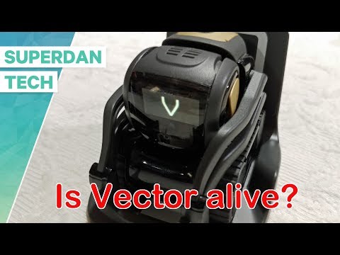 Anki Vector | Is he still alive???