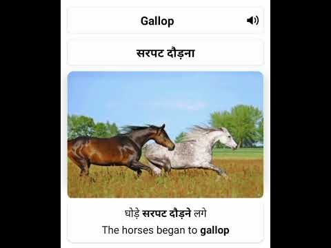 Gallop meaning in hindi | Visual Meaning | Word Meaning | Pronunciation | Sentence Making | #shorts