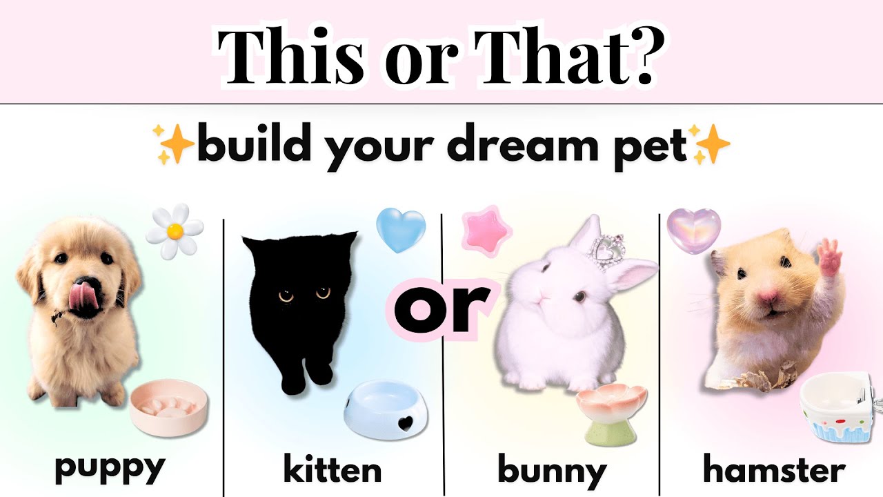 This or That? Build Your Dream Pet 🐶💗✨