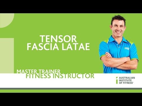 Tensor Fascia Latae