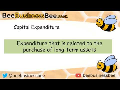 Capital and Revenue Expenditure