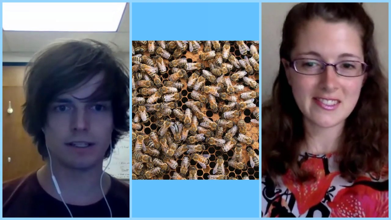 National Pollinator Week