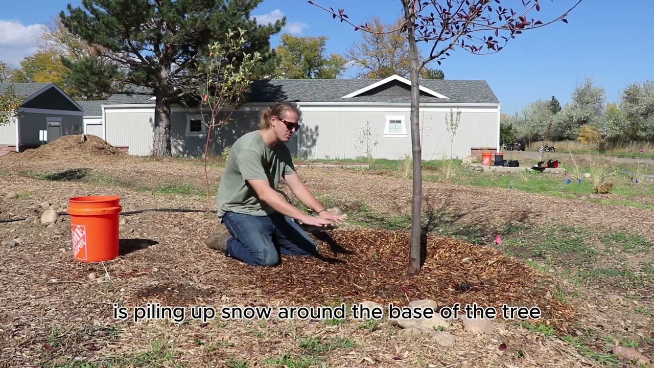 Watering your newly planted tree in Colorado with PLAY Boulder Foundation's Tree Trust