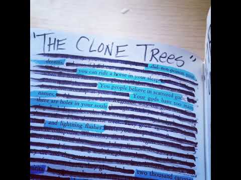 the clone trees | twinravens