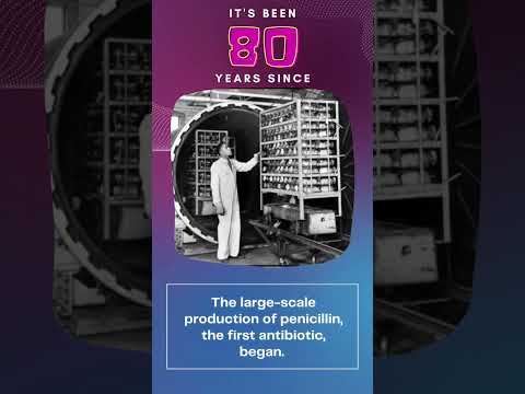 1943 to 2023 - How Many Years? | Historical Events in 1943 #historyfacts