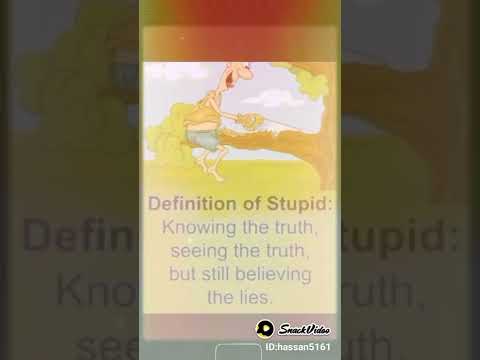definition of stupid