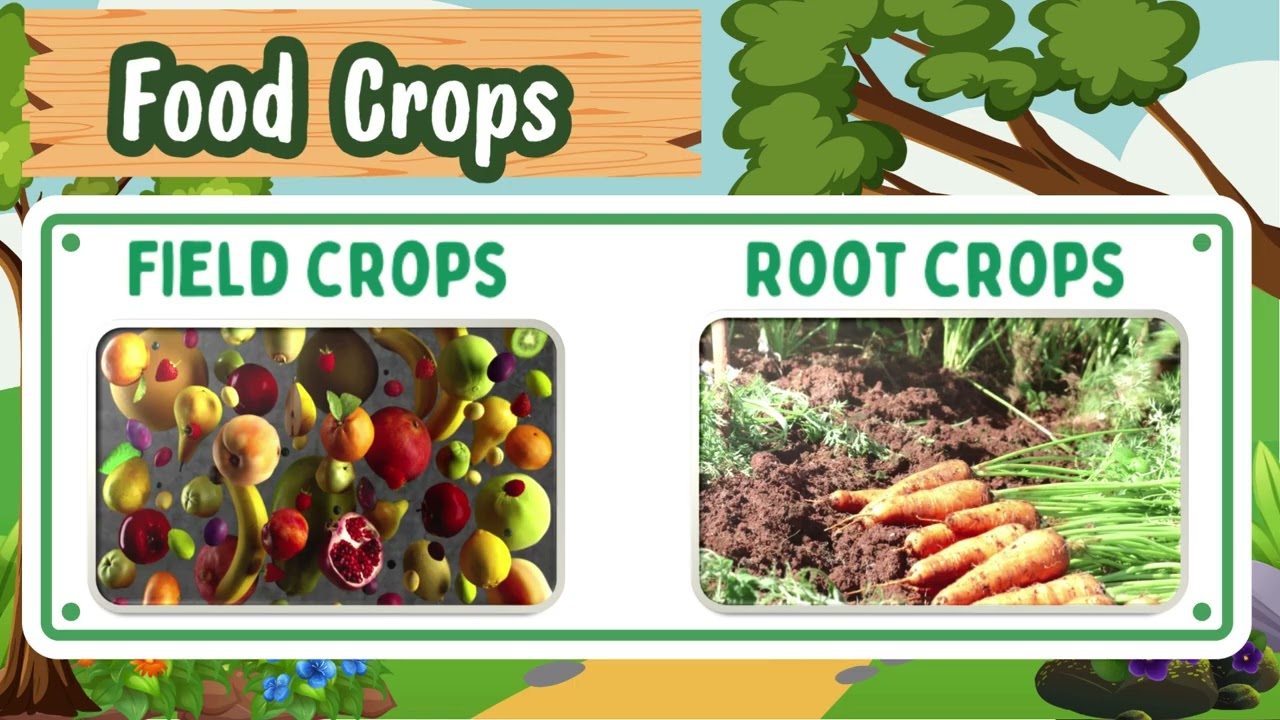 REVISED  K12- CURRICULUM G7 Q2 TLE AFA Week 3 Lesson 4 