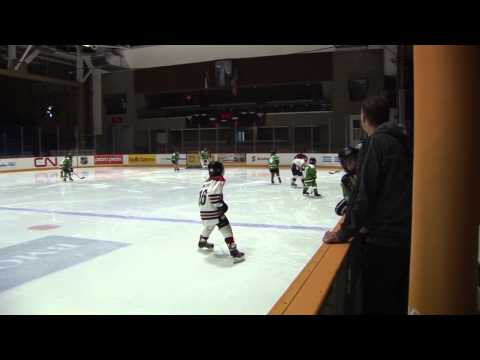 Noah Hockey preview