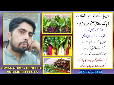 swiss chard sabzi kay fayday aor nuqsanat | swiss chard benefits and sideeffects by jolly azeem |