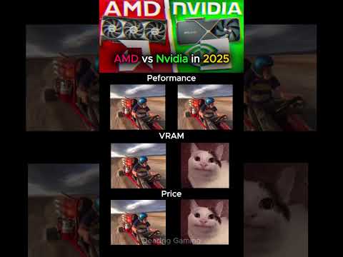 POV: AMD vs Nvidia in 2025