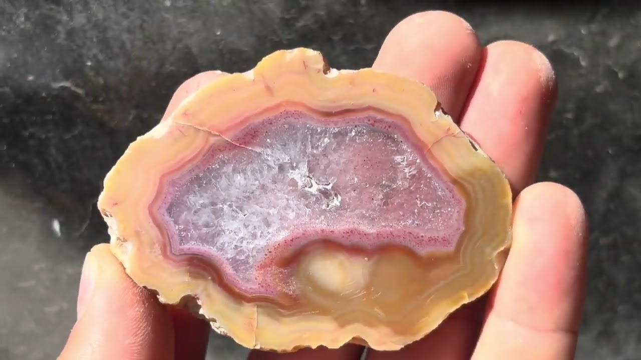 Laguna Agate FB01-7B 