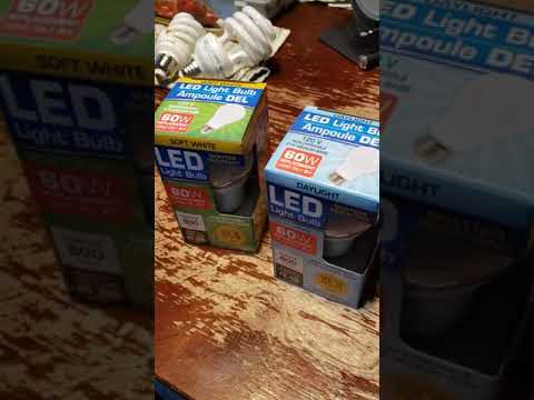 Soft White or Daylight bulbs What's the difference?