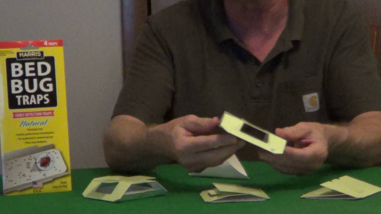 Bed Bug Traps