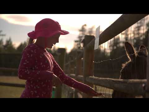 Mount Baker Farm - The Farm Yard