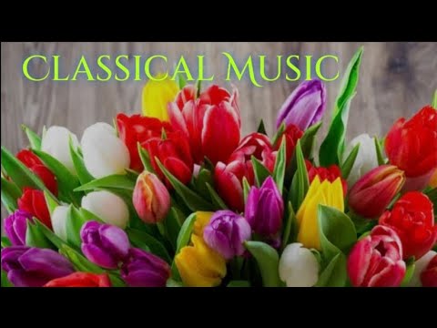Waltz of the Flowers.Tcaikovsky