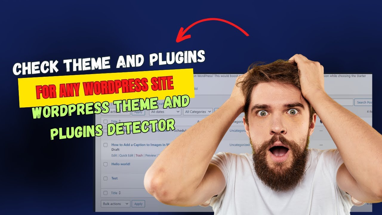 Check Theme and Plugins for ANY WordPress Site WordPress Theme and Plugins Detector