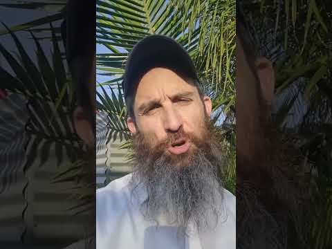 What Shabbat Shalom really means | Rabbi Dov Ber Cohen